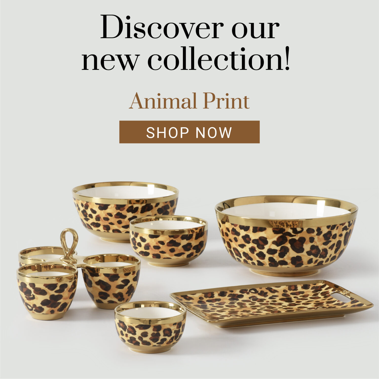 Home Page - Pampa Bay